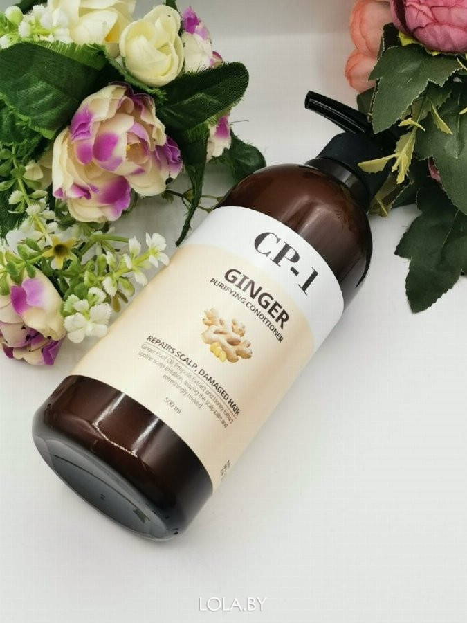 Шампунь для волос Esthetic House ИМБИРНЫЙ CP-1 GINGER PURIFYING SHAMPOO ...